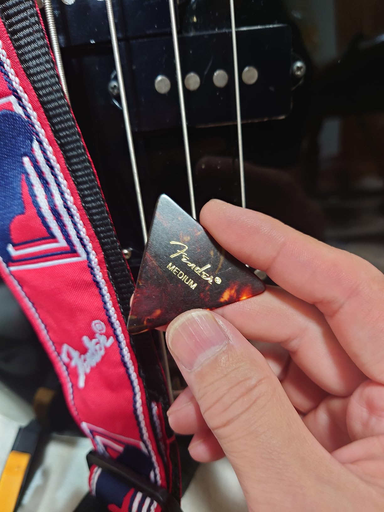 Amazon | Fender ピック 355 SHAPE CLASSIC CELLULOID PICKS - 72 COUNT ...
