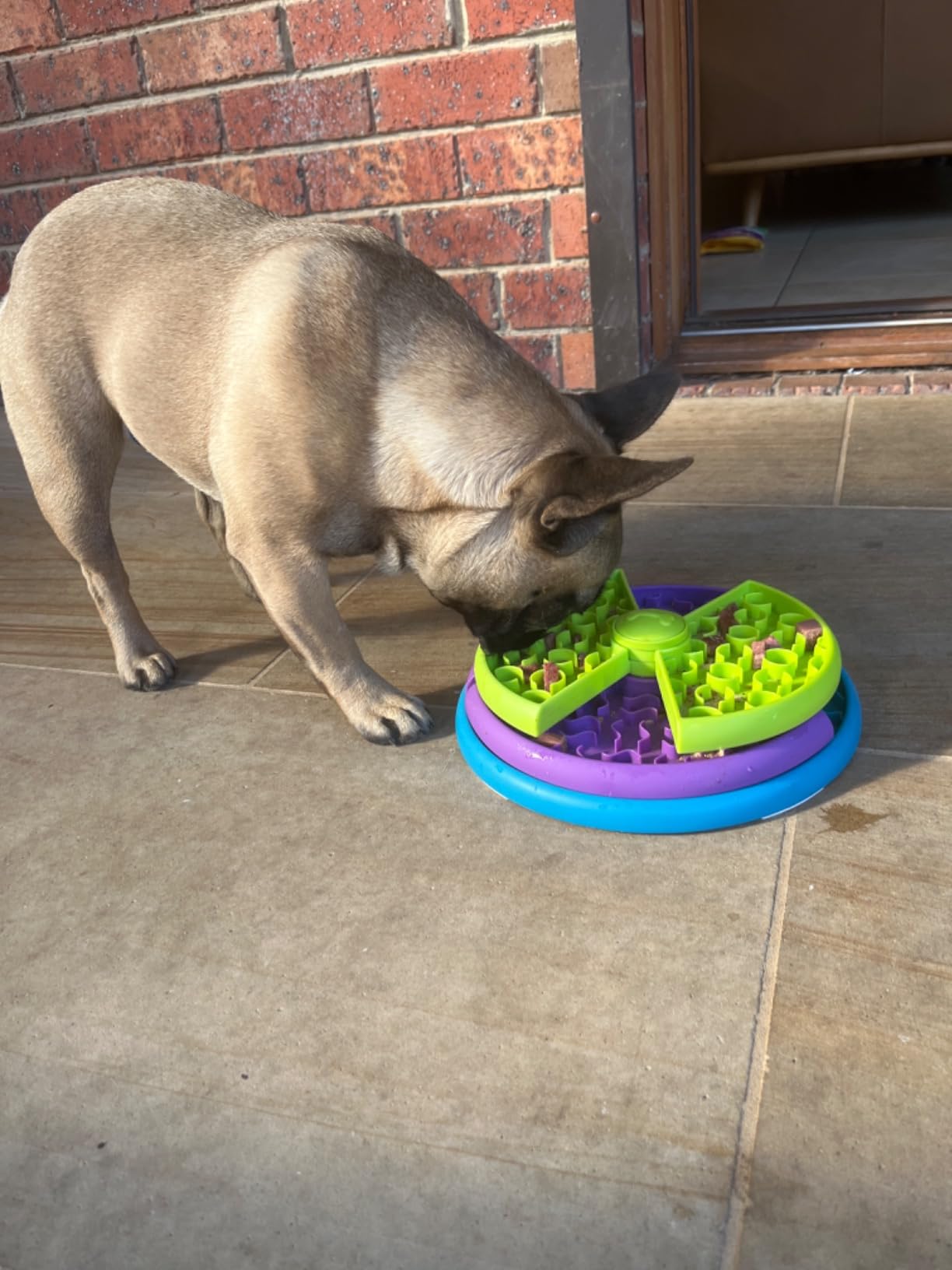 Dog Slow Feeder, Interactive Dog Puzzle Game Toy, 3 Layers Slow Feeder ...