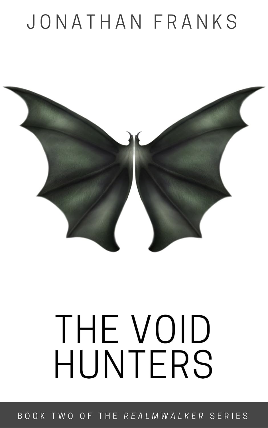 The Void Hunters (Realmwalker Book 2) - Kindle edition by Franks ...