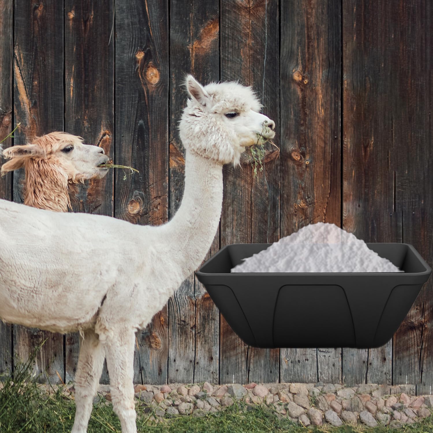 Snapklik.com : Mozoba Hanging Chicken Feeder Trough For Goat Sheep Deer ...