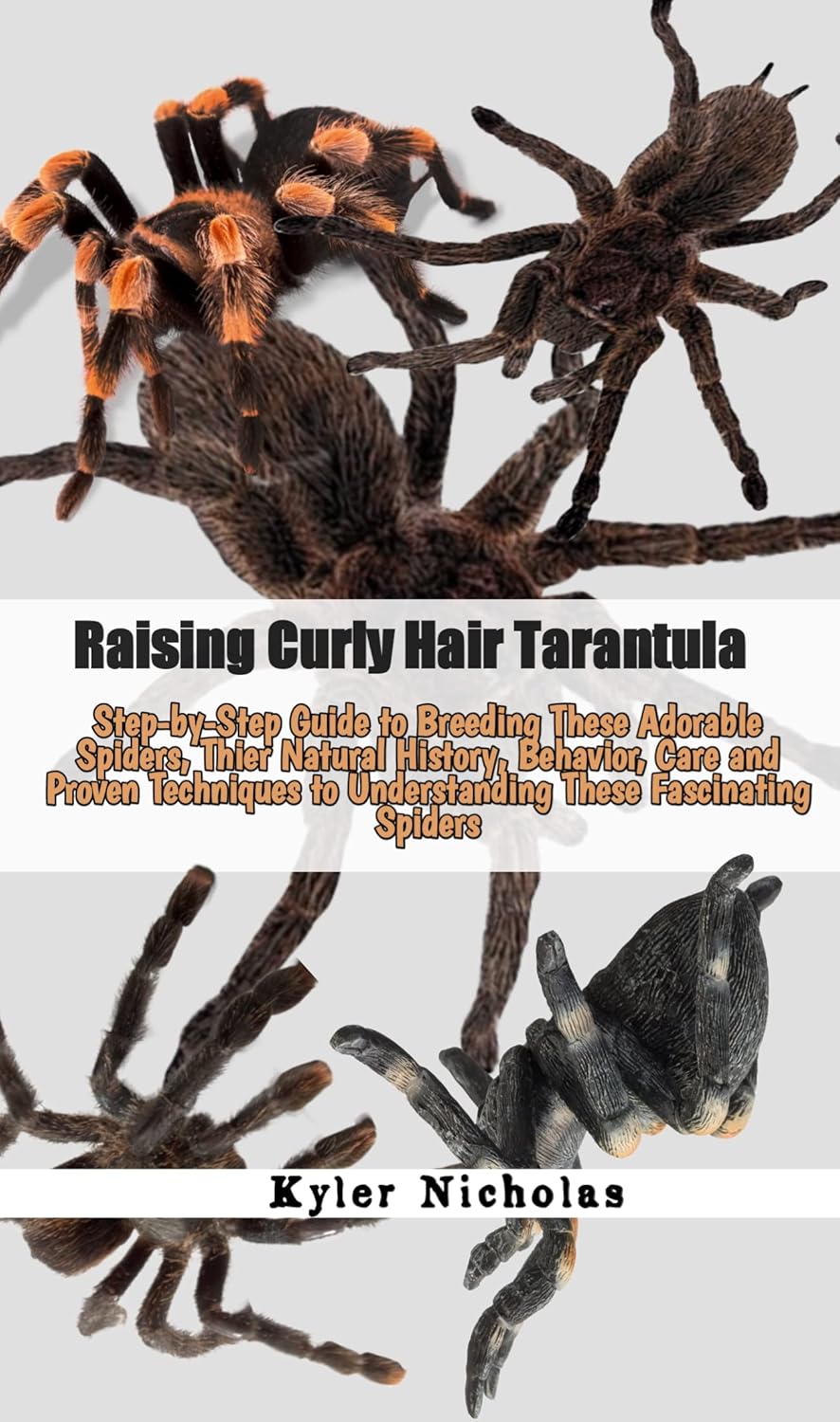 Raising Curly Hair Tarantula: Step-by-Step Guide to Breeding These ...
