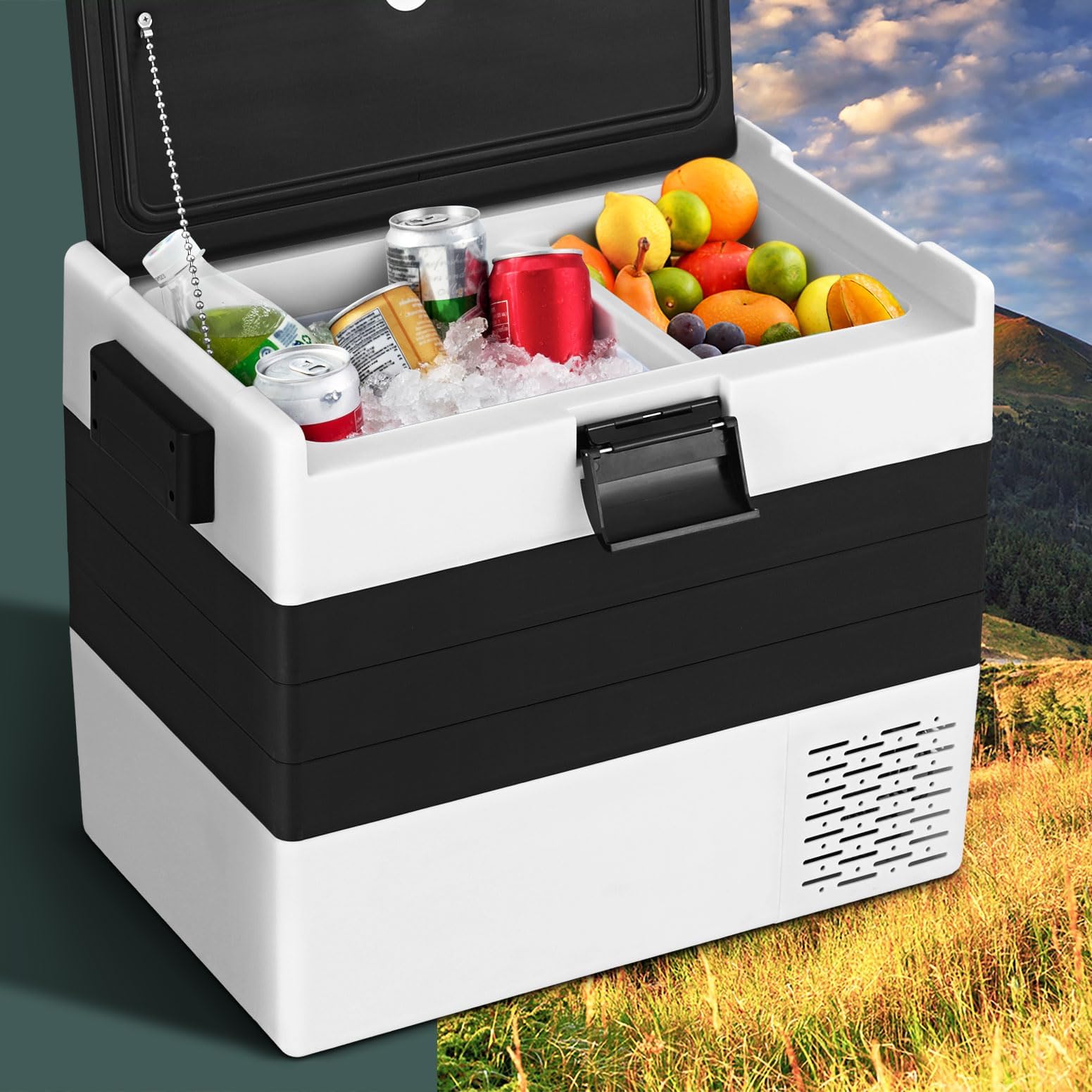 Mini Fridge Electric Cooler and Warmer Car- 12V DC Electric Cooler Car ...