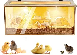 Amazon.com: Smart Brooder Chicken Coop Set, Newborn Chicks, Parrot Thermostat Breeding Heated ...