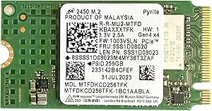 Amazon.com: OEM 256GB M.2 PCI-e GEN 4X4 NVME SSD Internal Solid State ...