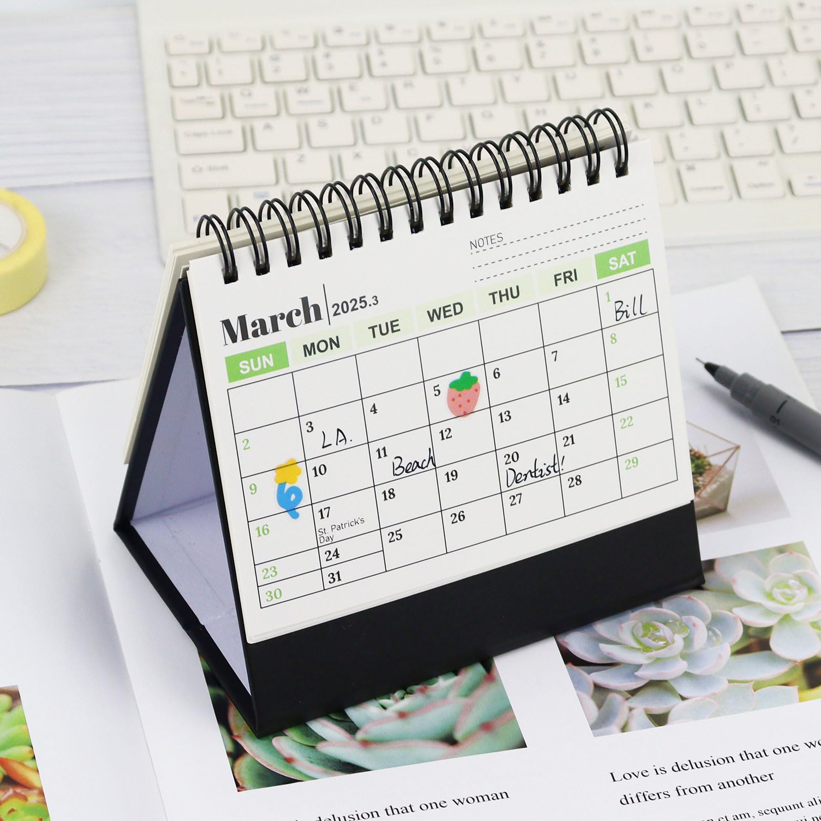 Snapklik.com : Desk Calendar 2024-2025, 5.2" X 5.3", Runs From July ...