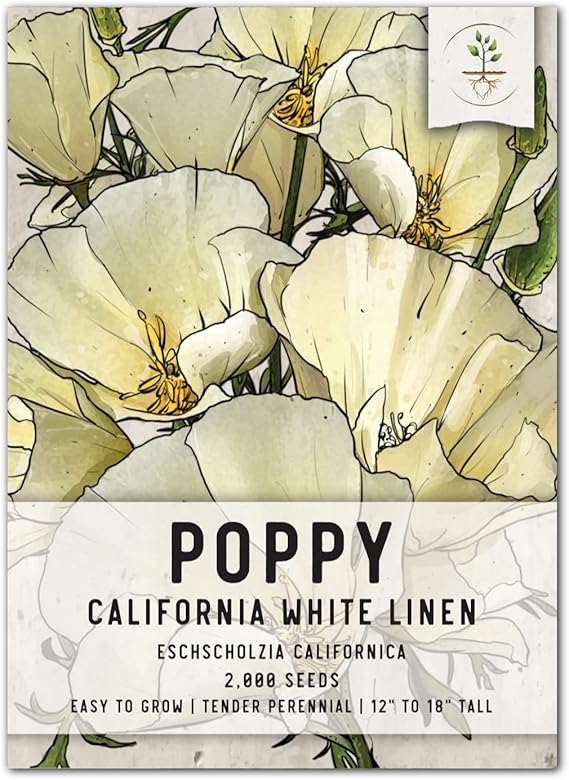Amazon.com : Seed Needs California Poppy Seeds for Planting White Linen ...