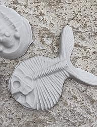 Amazon.com: Falling in Art 5 LB Plaster of Paris Powder - Hand Mold ...