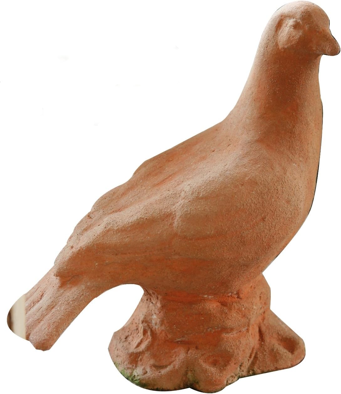 Amazon.com : Romantic Terracotta One Dove on Stand : Outdoor Statues ...