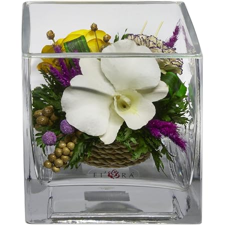 Amazon.com : Fiora Flower | Long Lasting Real Roses in a Sealed Vase ...