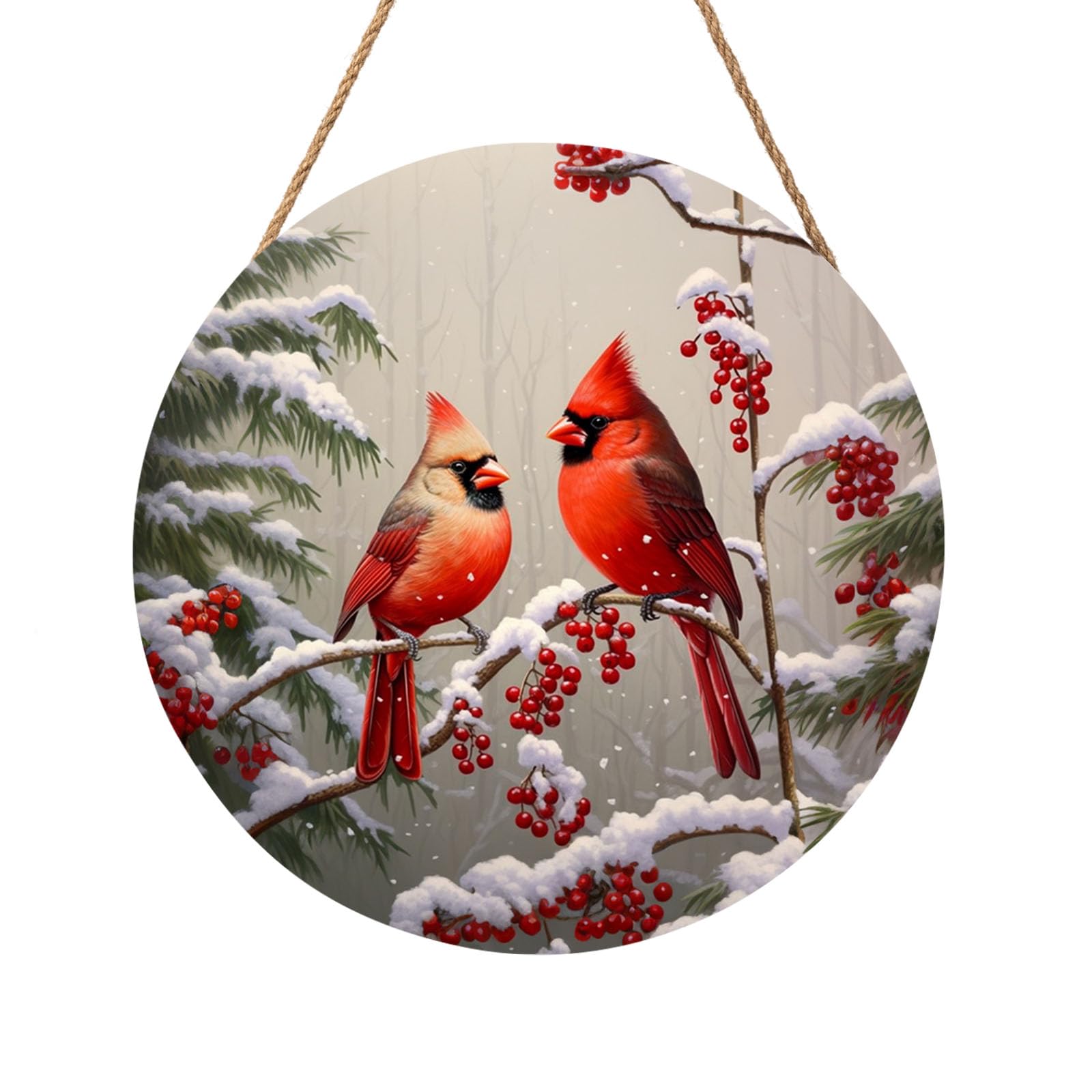 Amazon.com: Anyako Winter Red Cardinal Bird Door Sign For Front Door ...