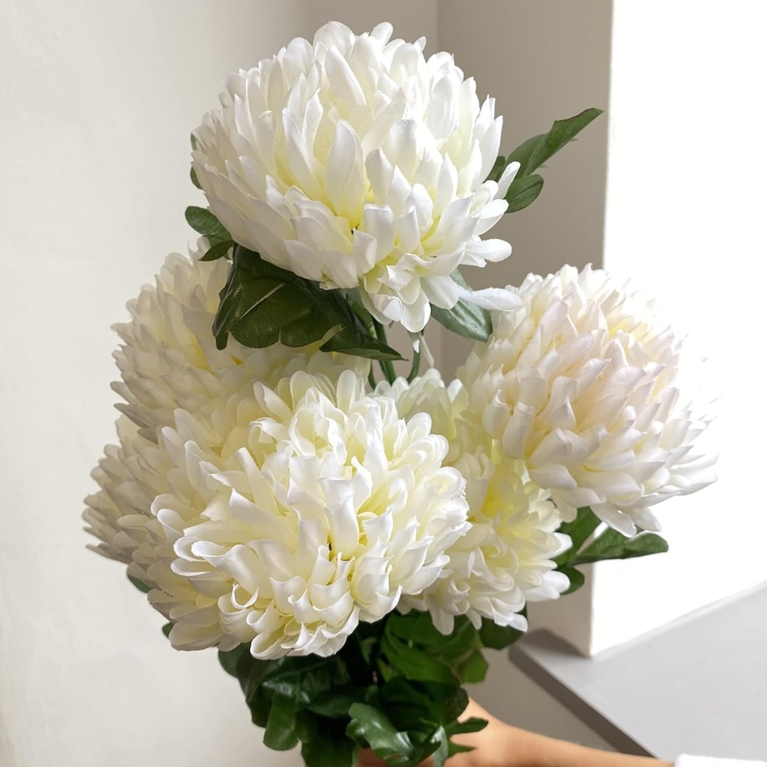 Amazon.com : CHUXAY GARDEN White Chrysanthemum Seed,Mums,Chrysanths 100 ...