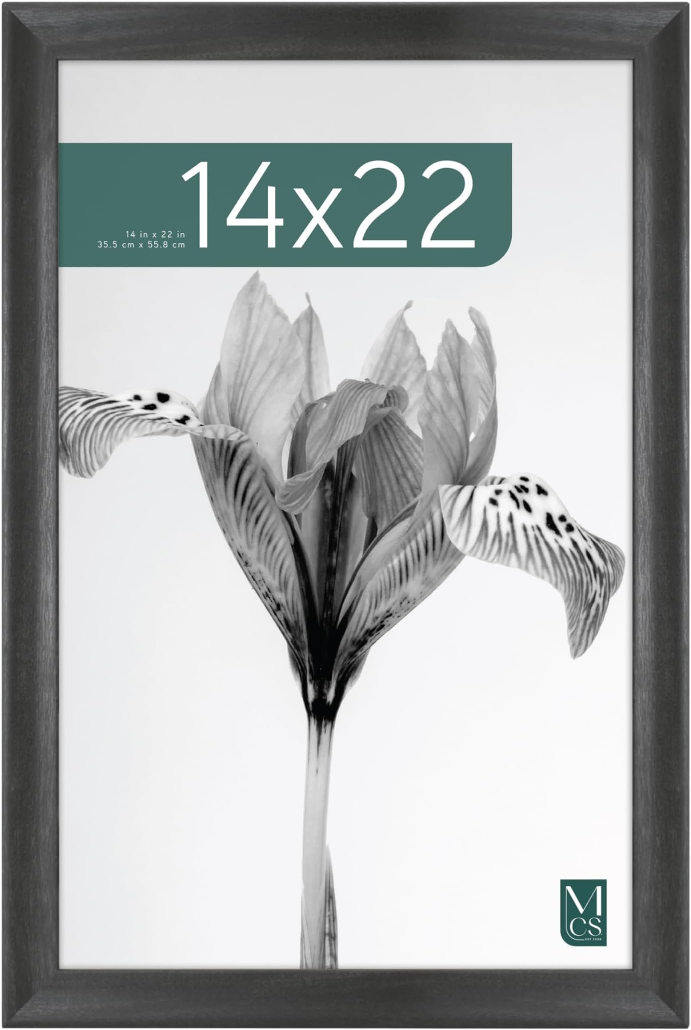Amazon.com - MCS Studio Gallery Classic 14x22 Poster Frame Black ...