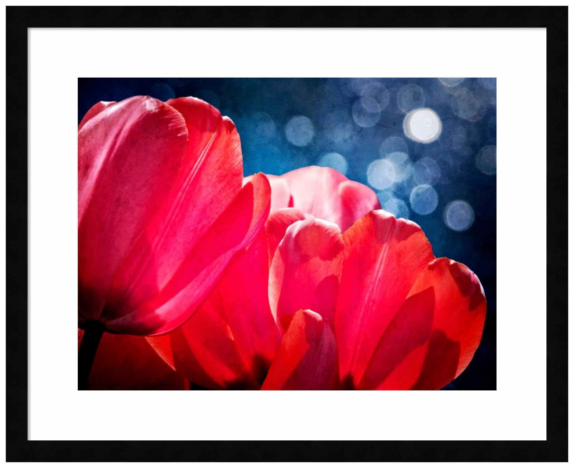 Rachel Flowers H