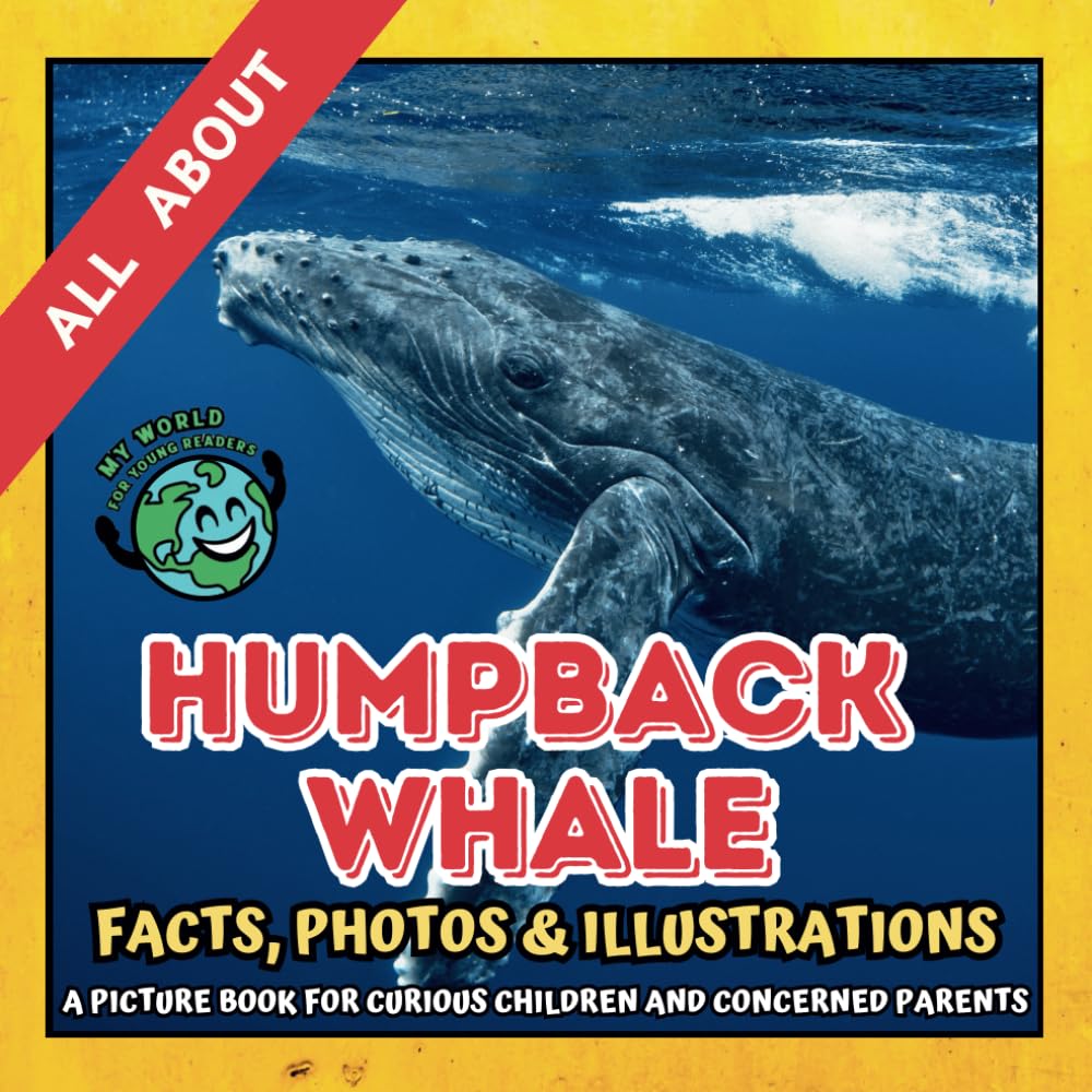 All about Humpback Whale | Facts, Photos and Illustrations: A Picture ...