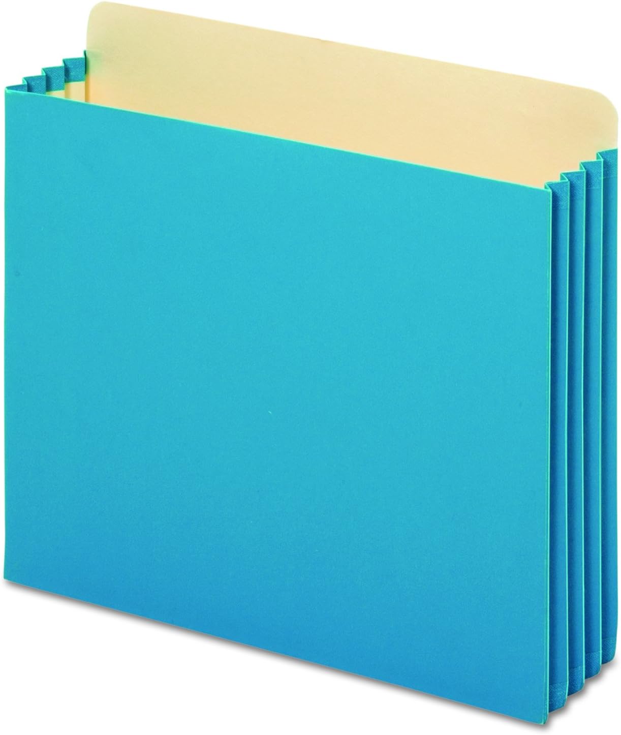 Amazon.com : Pendaflex FC1526P File Cabinet Pockets, Straight Cut, 1 ...