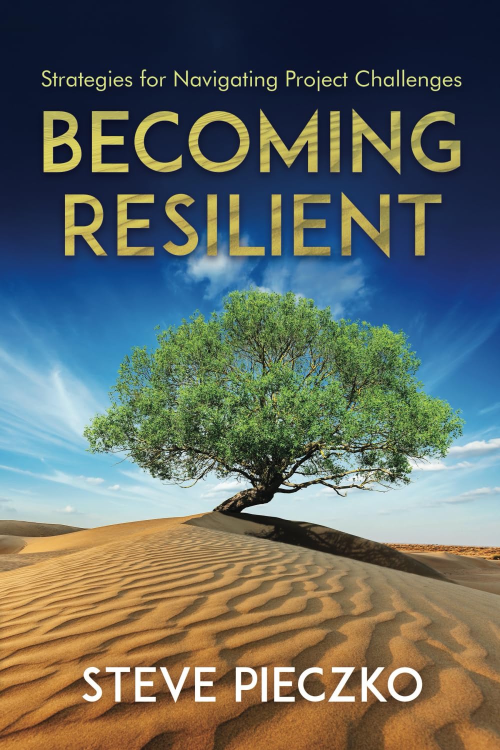 Amazon.com: Becoming Resilient: Strategies for Navigating Project ...