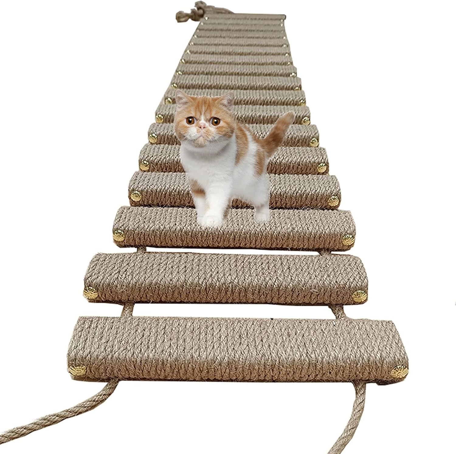 Amazon.com : QQXX Cat Climbing Frame Bridge, Wood Hemp Rope Climbing ...