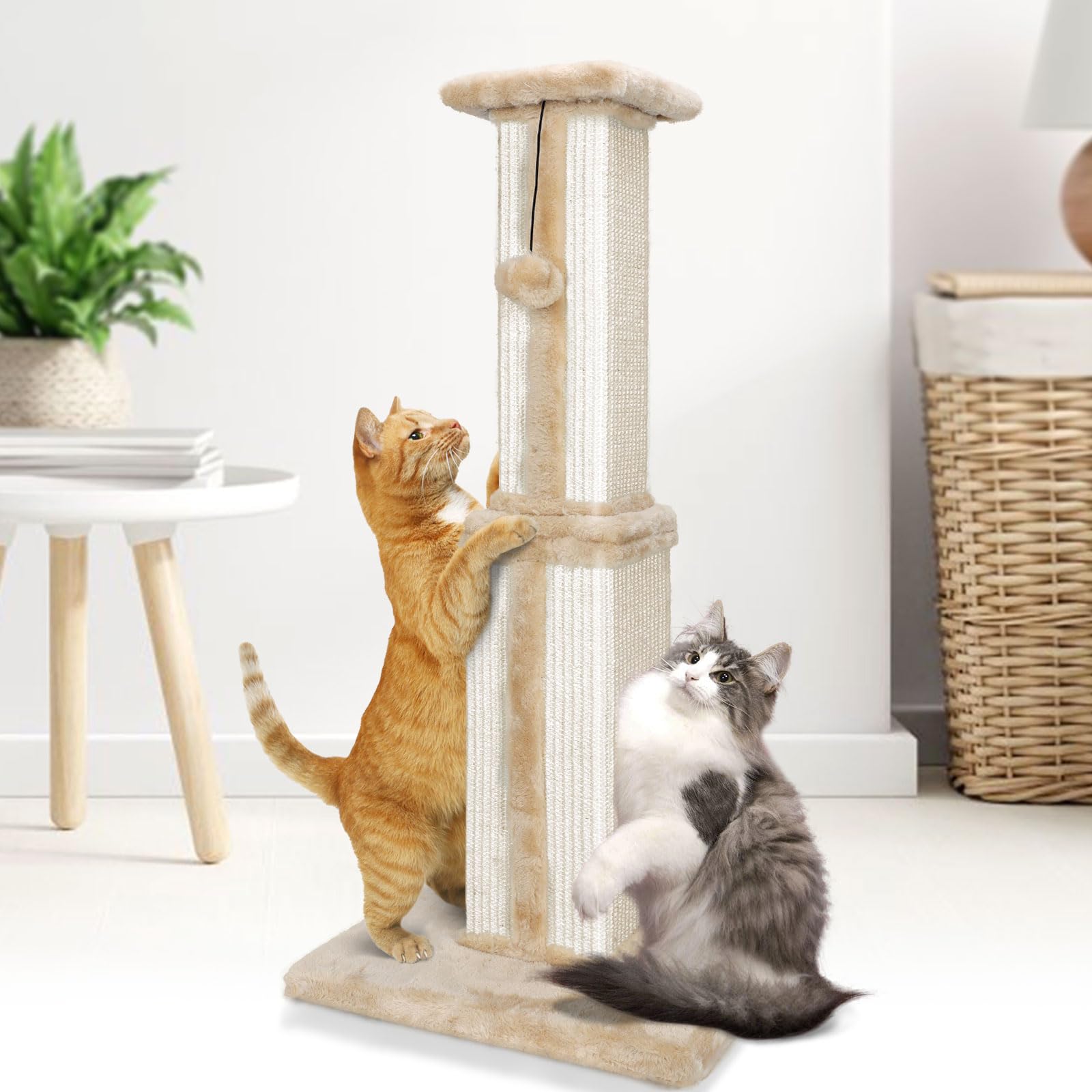 Topmart 31" Tall Cat Scratching Post for Indoor Cats Kittens, Sisal ...