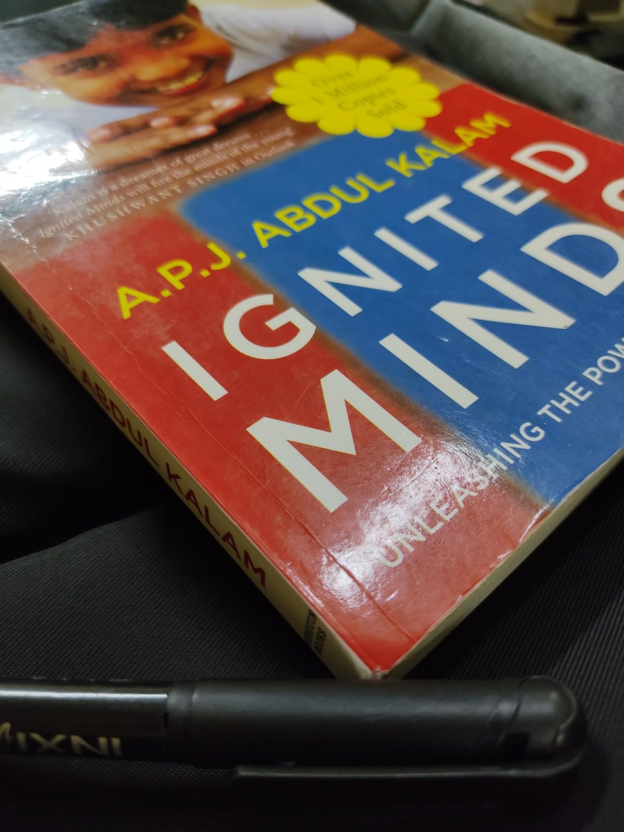 Ignited Minds: Unleashed the Power within India : Kalam, A. P. J. Abdul ...