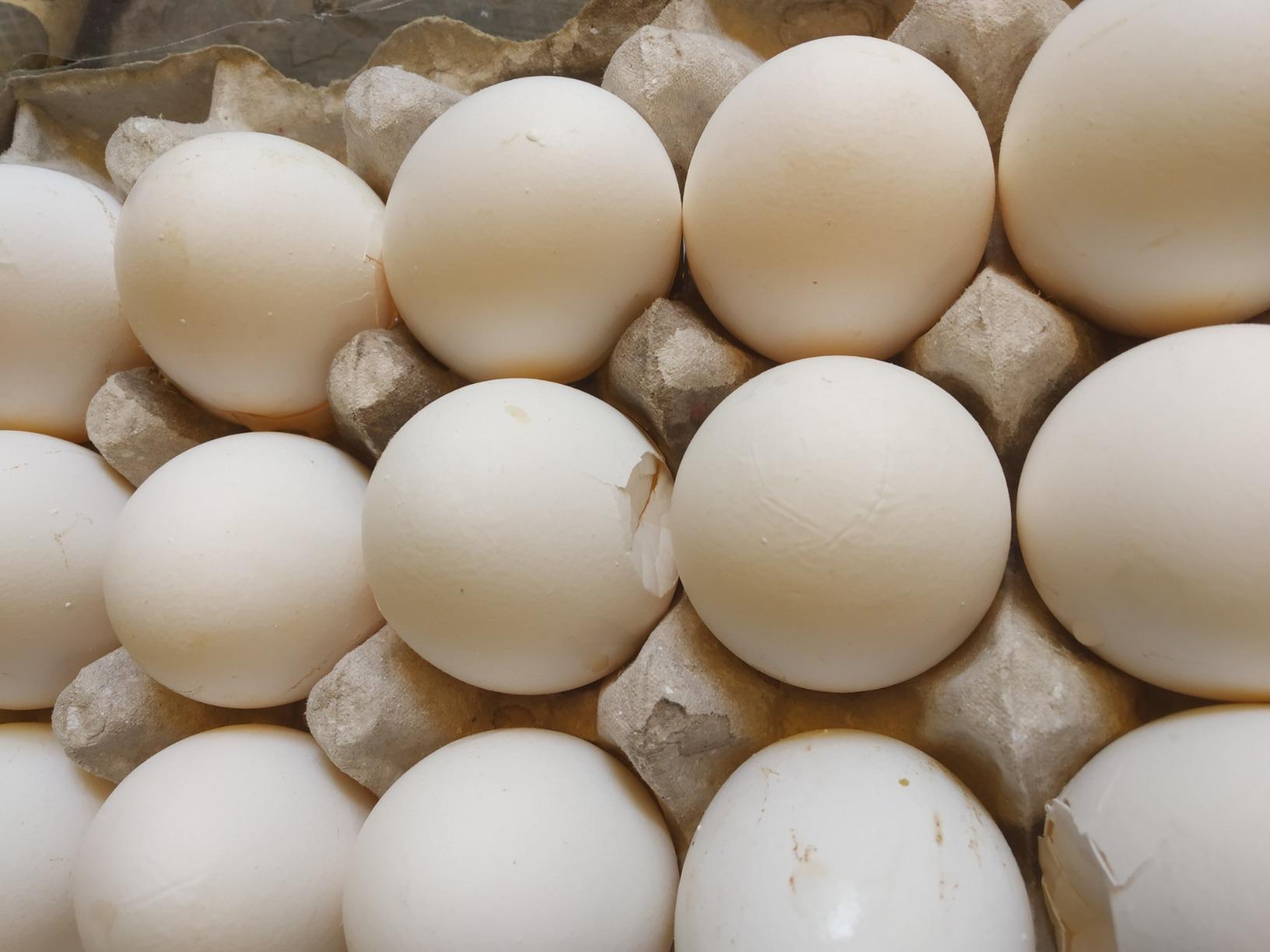 Daily Fresh Eggs, 30 Pieces : Amazon.in: Grocery & Gourmet Foods