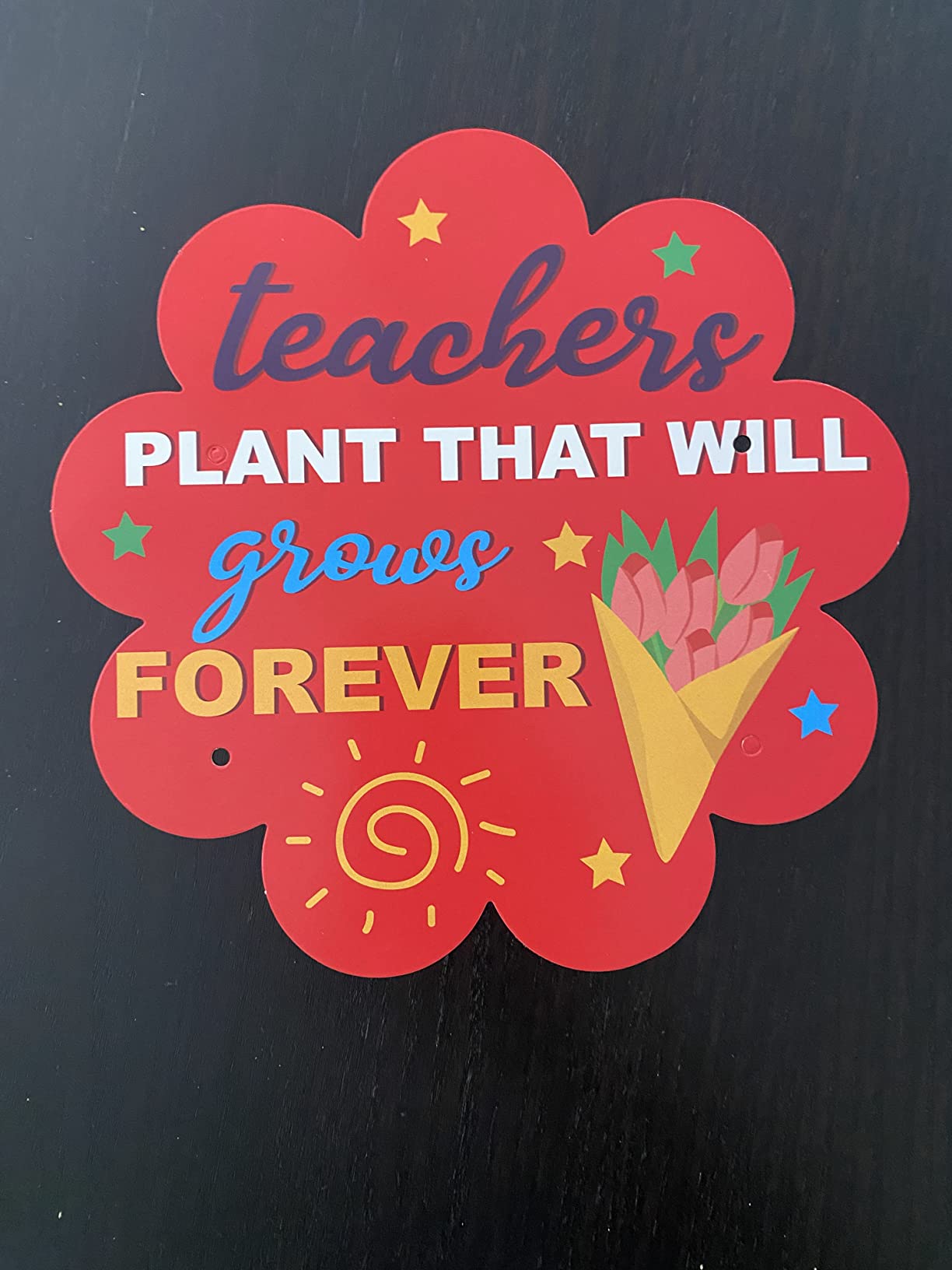 Amazon.com: HOWAF 10 Pieces Thank You Teachers Door Decor,Teachers ...