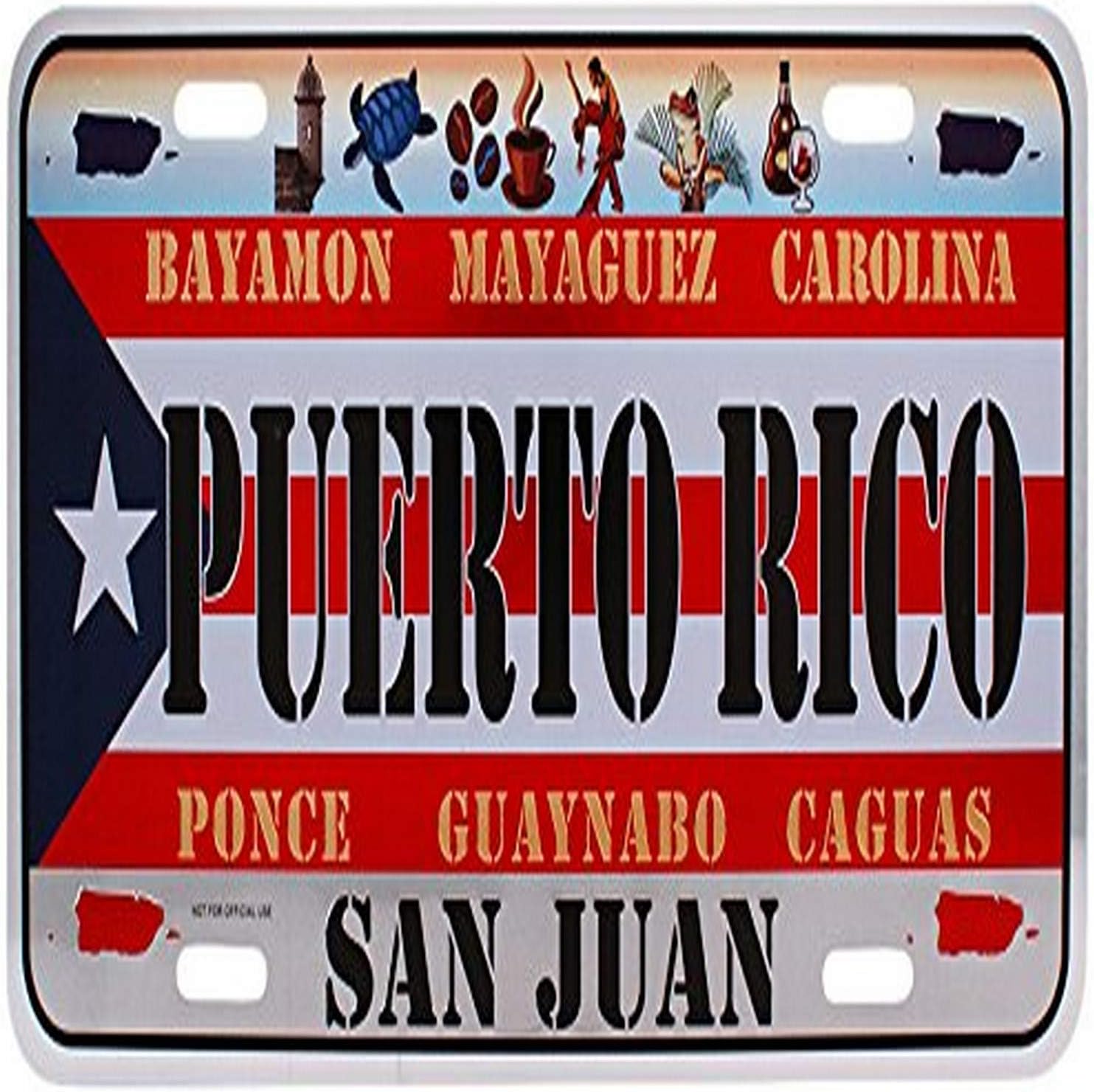Amazon.com: Dimension LP076 9 Home Decorative Plate, Puerto Rico, Large ...