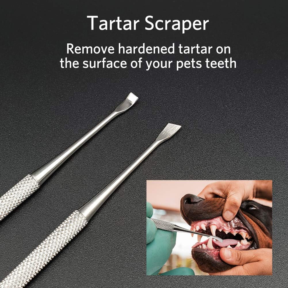 Langsum Tooth Scaler and Scraper Kit for Dog, Professional Pet Teeth ...