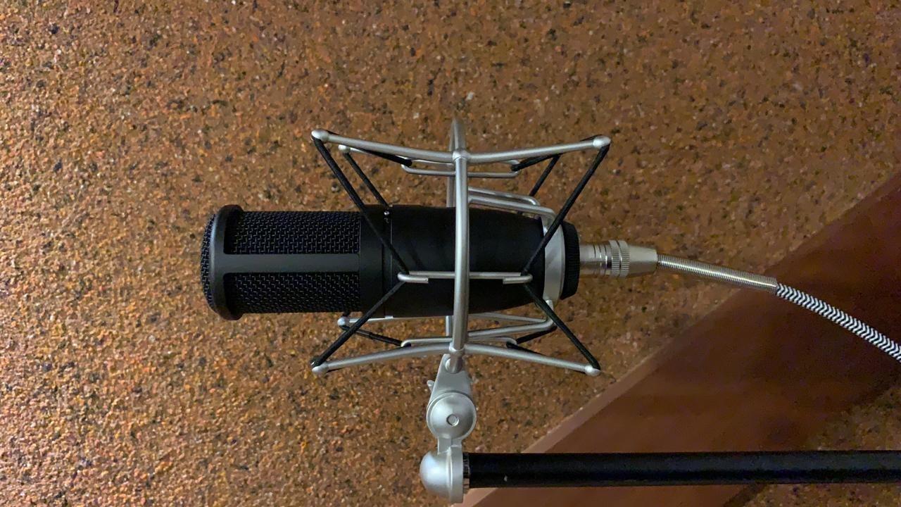 Samson SP01 Spider Shockmount : Amazon.in: Musical Instruments