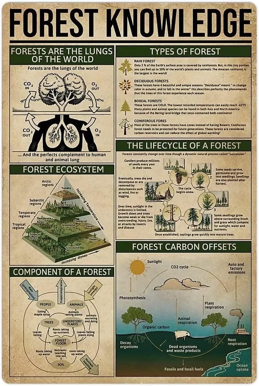 Amazon.com: Forest Knowledge Metal Tin Signs Retro Forest Infographic ...