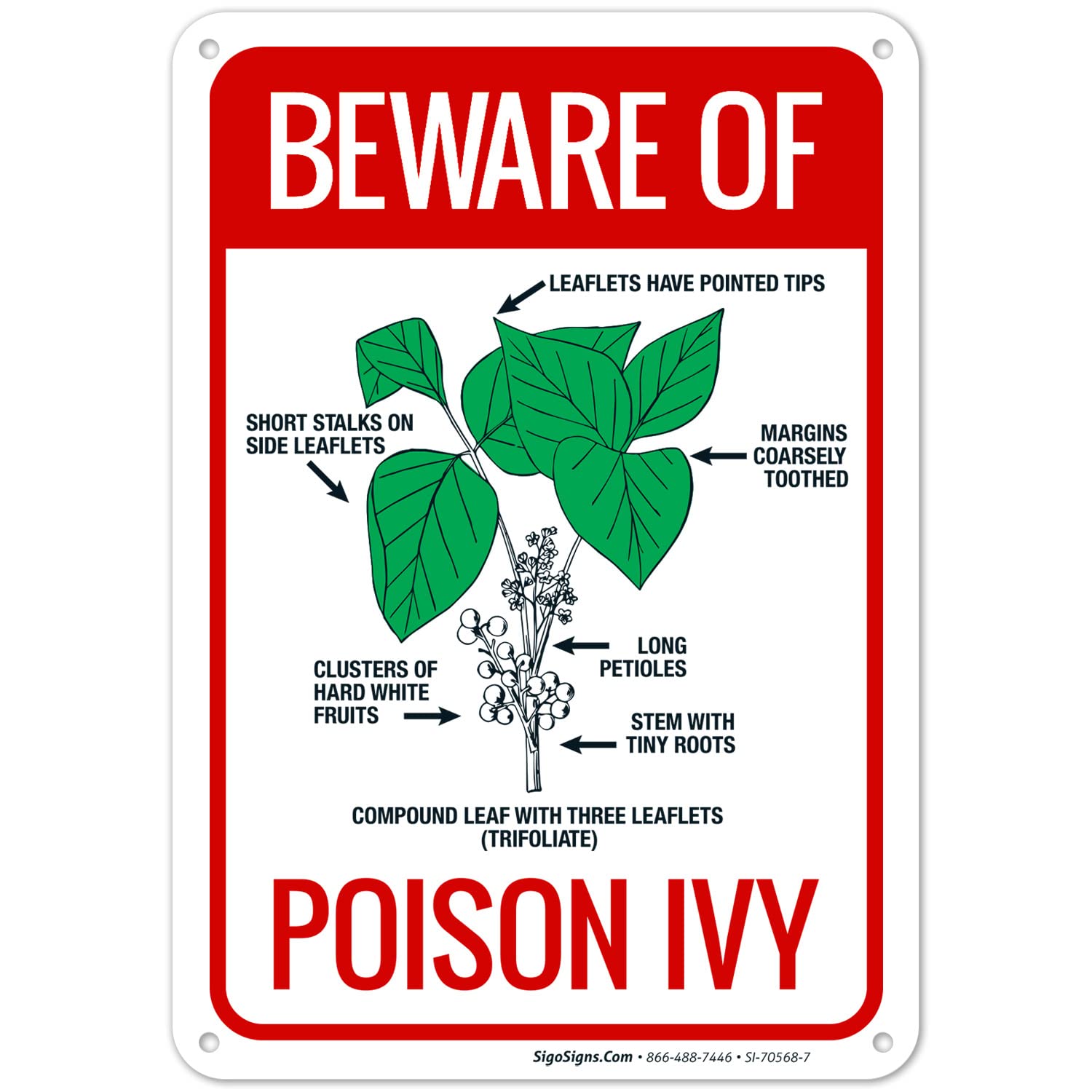 Amazon.com : Sigo Signs Beware of Poison Ivy Sign, 10x7 Inches, Rust ...