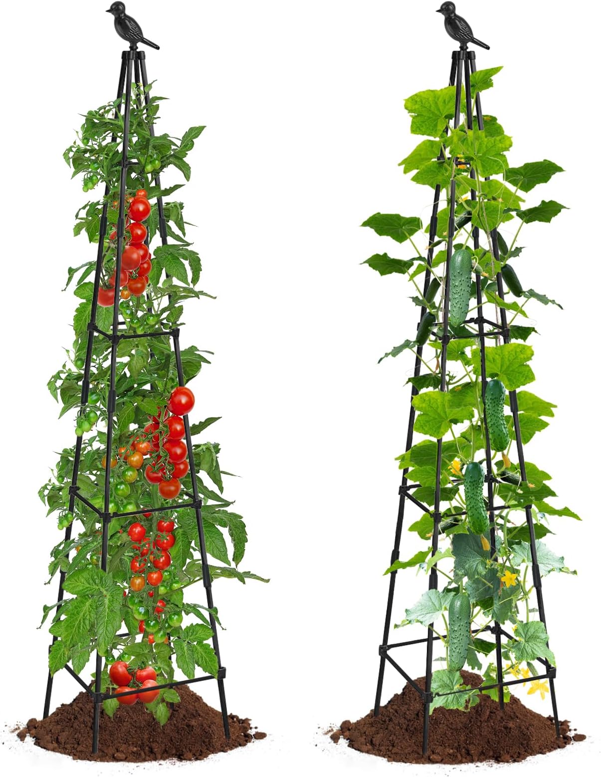 Amazon.com : 6 FT Trellis for Climbing Plants Outdoor, 2 Pack Plant ...