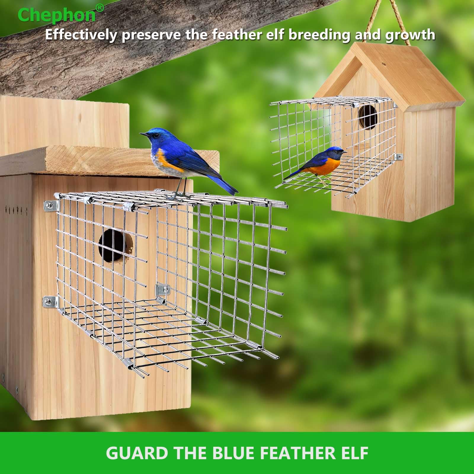 Snake Predator Guard Bluebird House