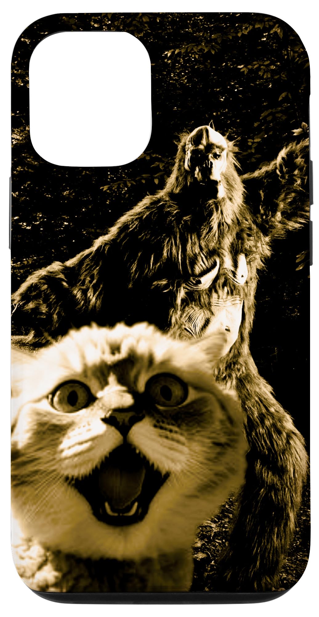 Im Scared Cat Meme