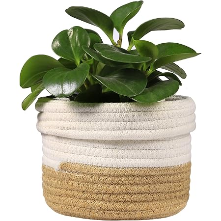 Amazon.com : LEEPES 2-Pack 6.5" Woven Plant Basket Indoor Up to 6" Pot ...