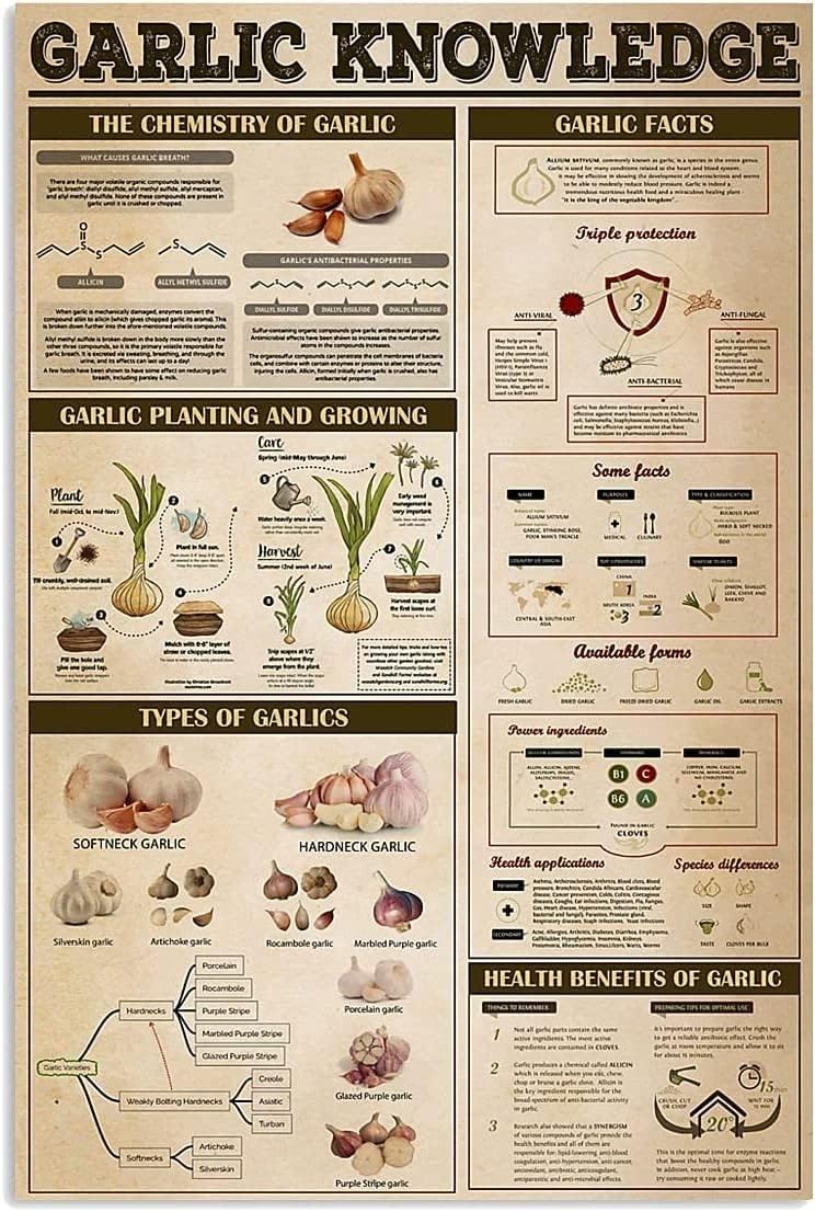 Amazon.com: Youpinnong Garlic Knowledge Metal Signs Retro Garlic ...