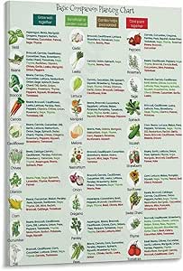 Amazon.com: FIDSUY Basic Companion Planting Chart Poster Garden ...