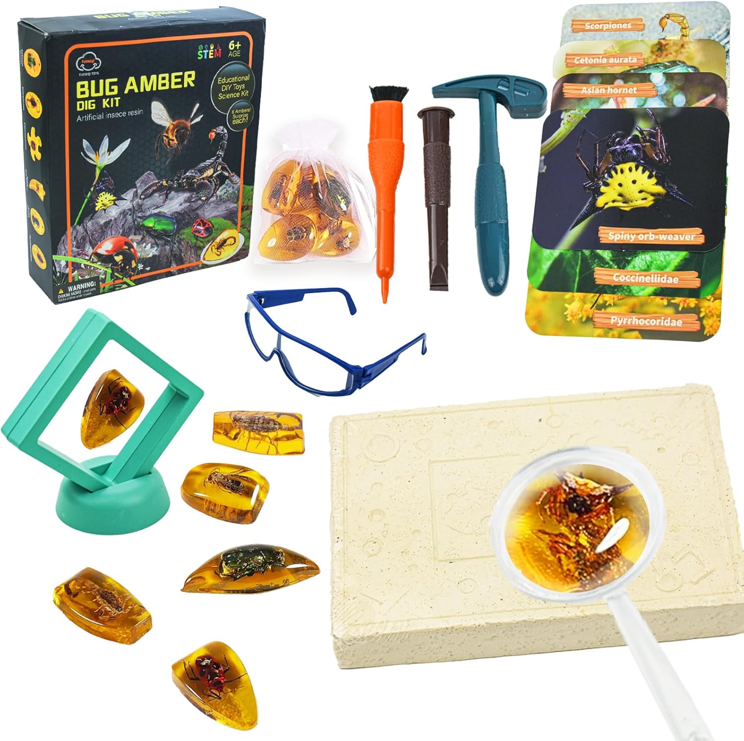 Kikuo Amber Gemstone Dig Kit, Insect Digging Kit Set For Kids, 6 Real ...