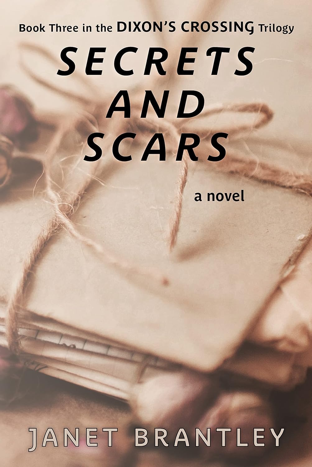 Amazon.com: Secrets and Scars (The Dixon's Crossing Trilogy Book 3 ...