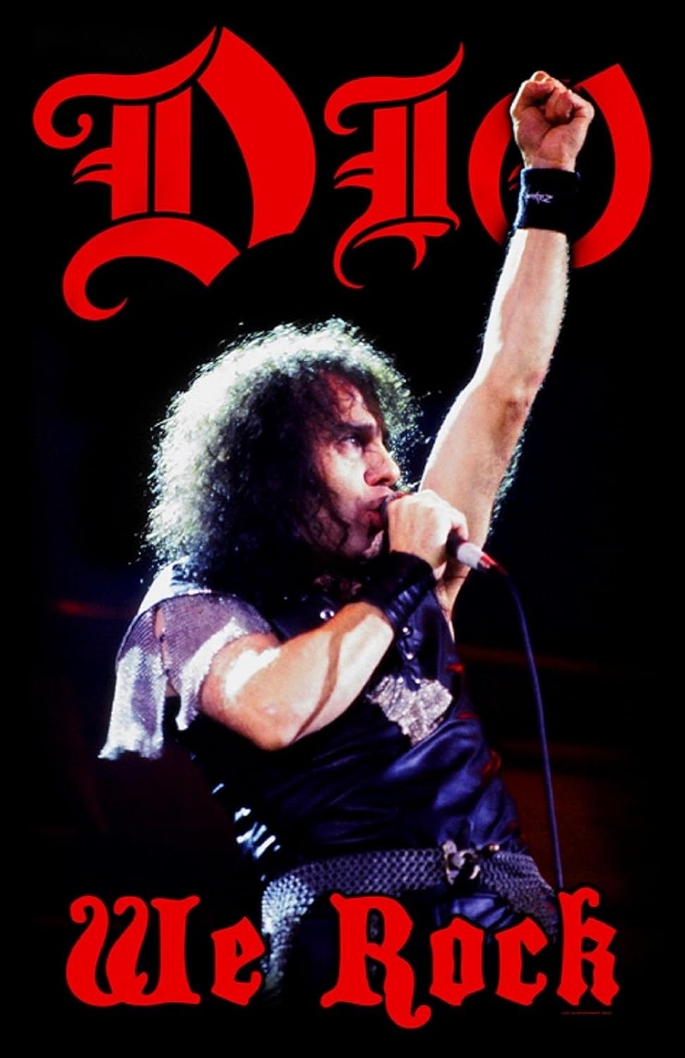 Amazon.com: Dio Poster We Rock Holy Diver Official Textile 70Cm X 106Cm ...