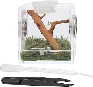 POPETPOP Jumping Spider Clear Box Reptile Breeding Box with Dropper ...