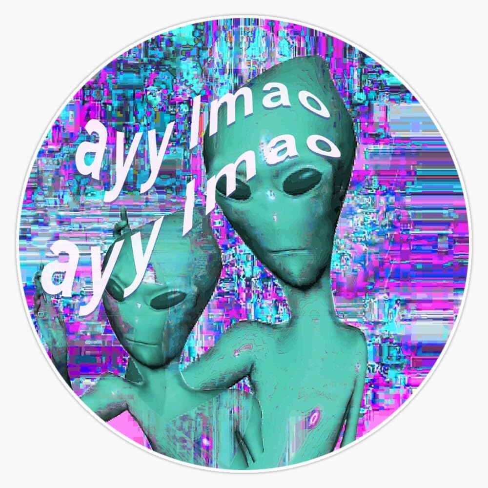 Amazon.com: Magnet Ayy LMAO Vaporwave Magnetic Vinyl Sticker 5 ...