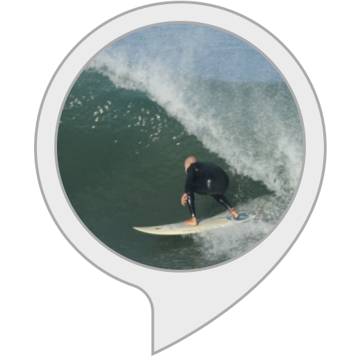 Amazon.com: Surfer Bro : Alexa Skills