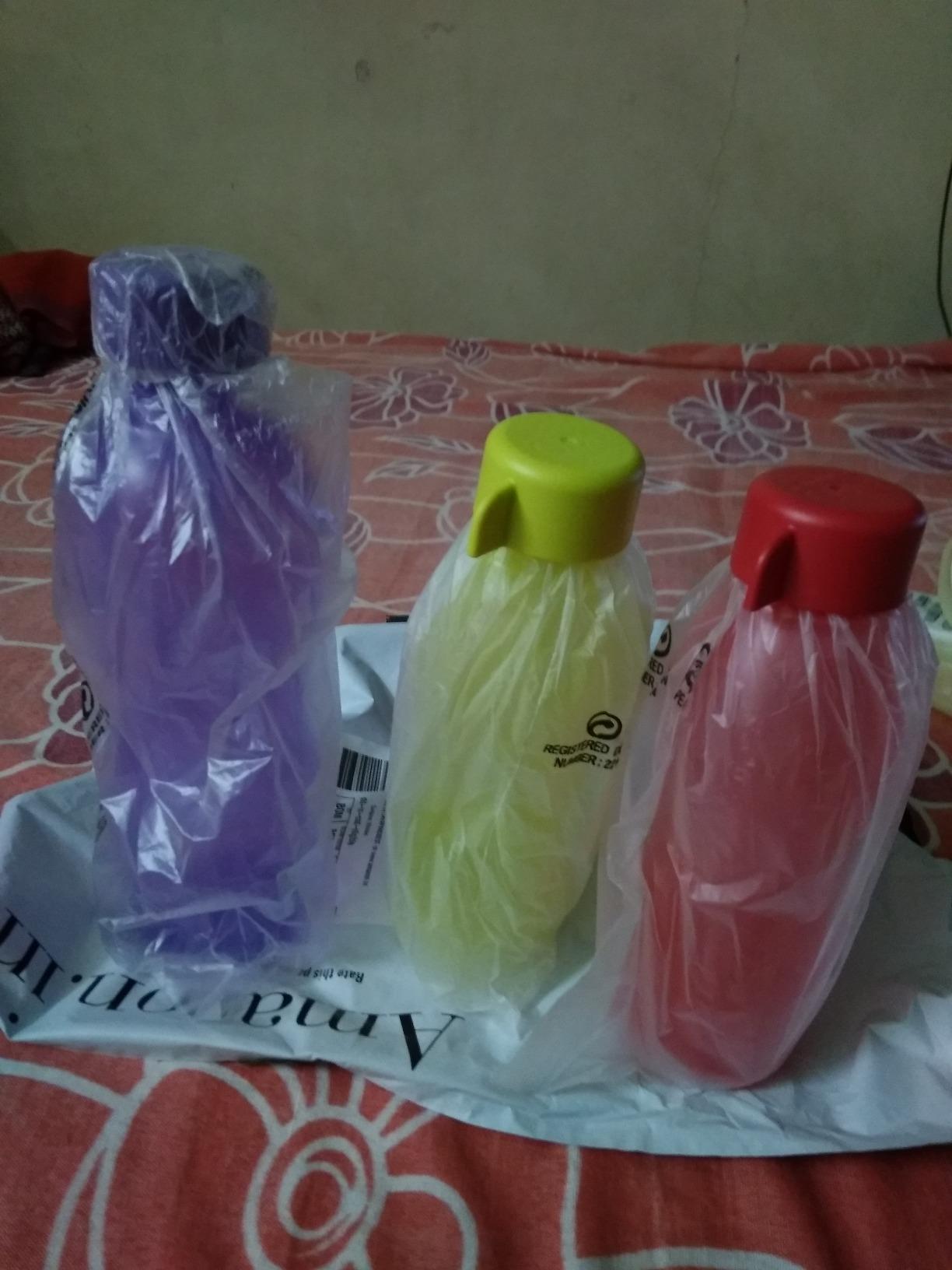Tupperware OUTW 25 Plastic Bottle, 500 ml, Set of 3, Multicolour ...