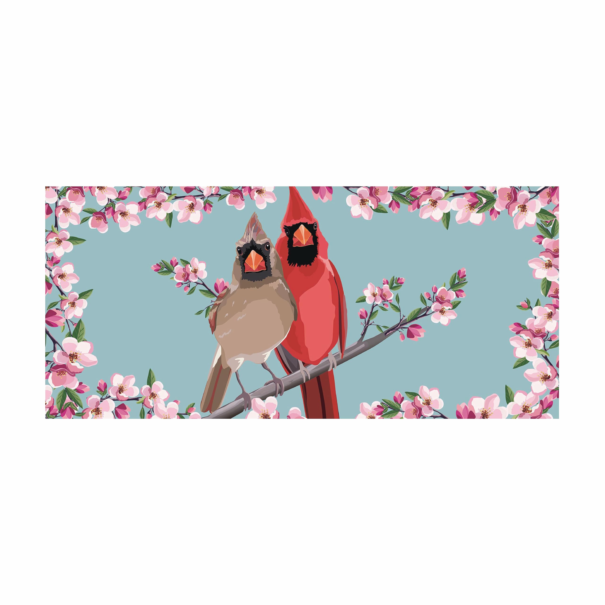 Amazon.com: Evergreen Spring Sassafras Switch Mat Inserts ...