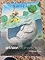 Envision Mathematics 2020 Common Core Student Edition Grade 4 Volume 1: Scott Foresman ...