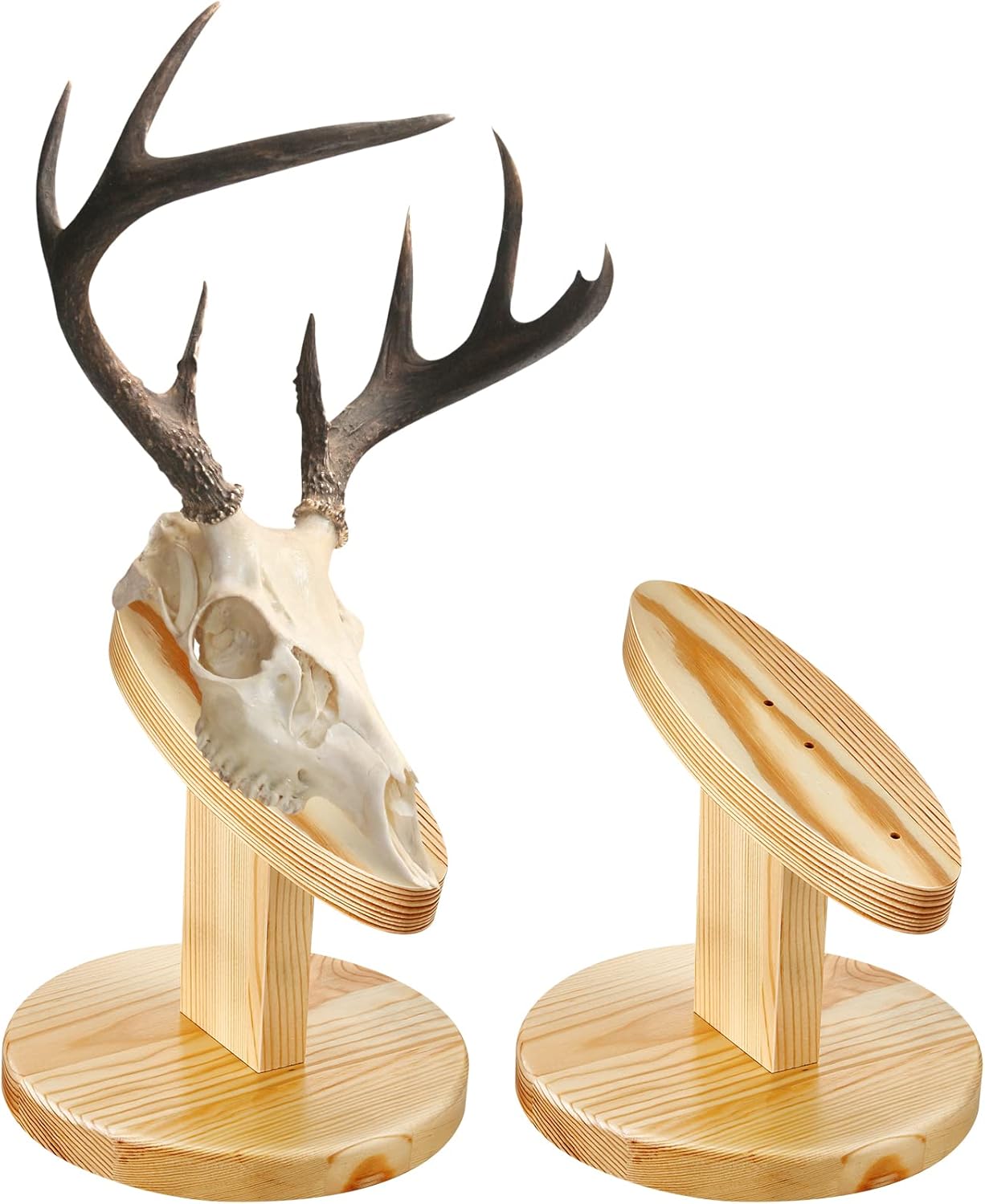 Amazon.com : 2 Set Deer Head Mount Kit Country Solid Wood Skull Display ...