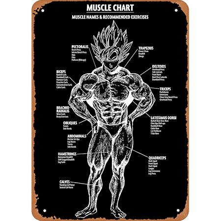 Amazon.com : Anime Muscle Anatomy Chart Ghostbusters cartoon poster ...
