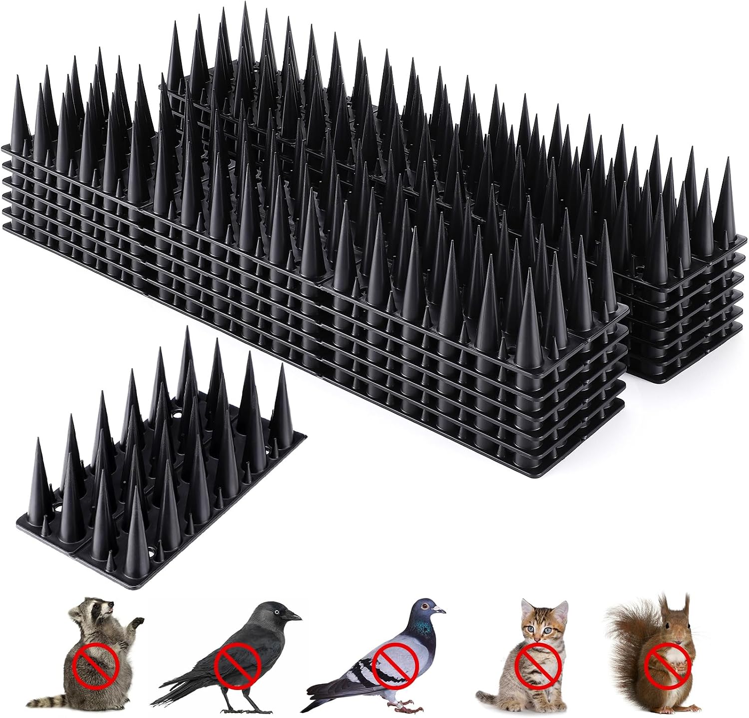 Amazon.com : GSDOTZAP 12 Pack Bird Spikes for Outside, Pigeon Outdoor ...