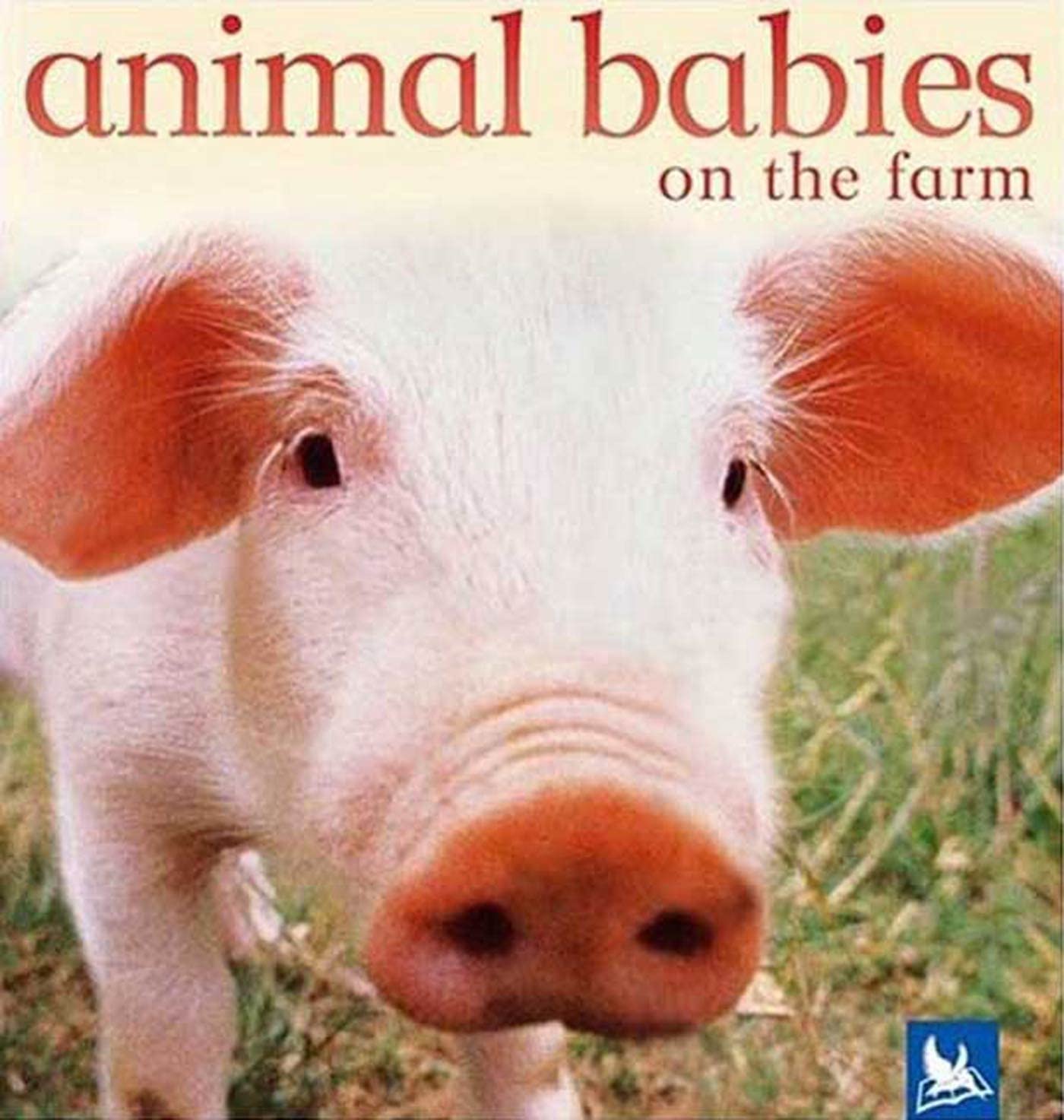 Animal Babies On the Farm: Editors of Kingfisher: 9780753458389: Amazon ...
