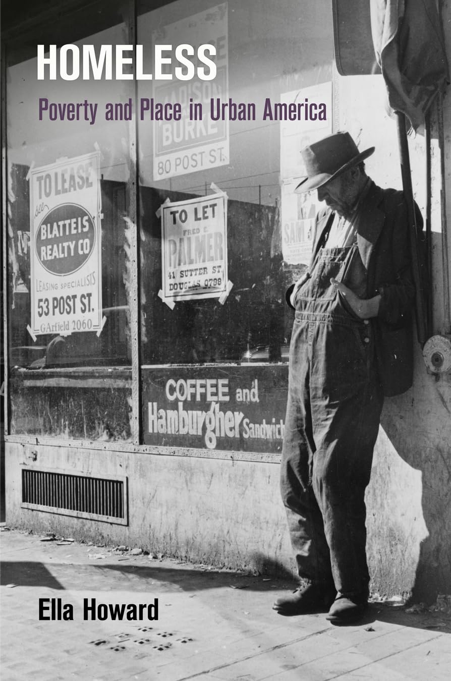 Homeless: Poverty and Place in Urban America (Politics and Culture in ...